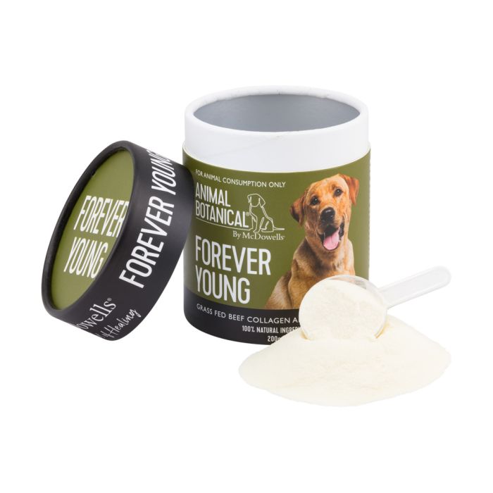 forever young cumbernauld